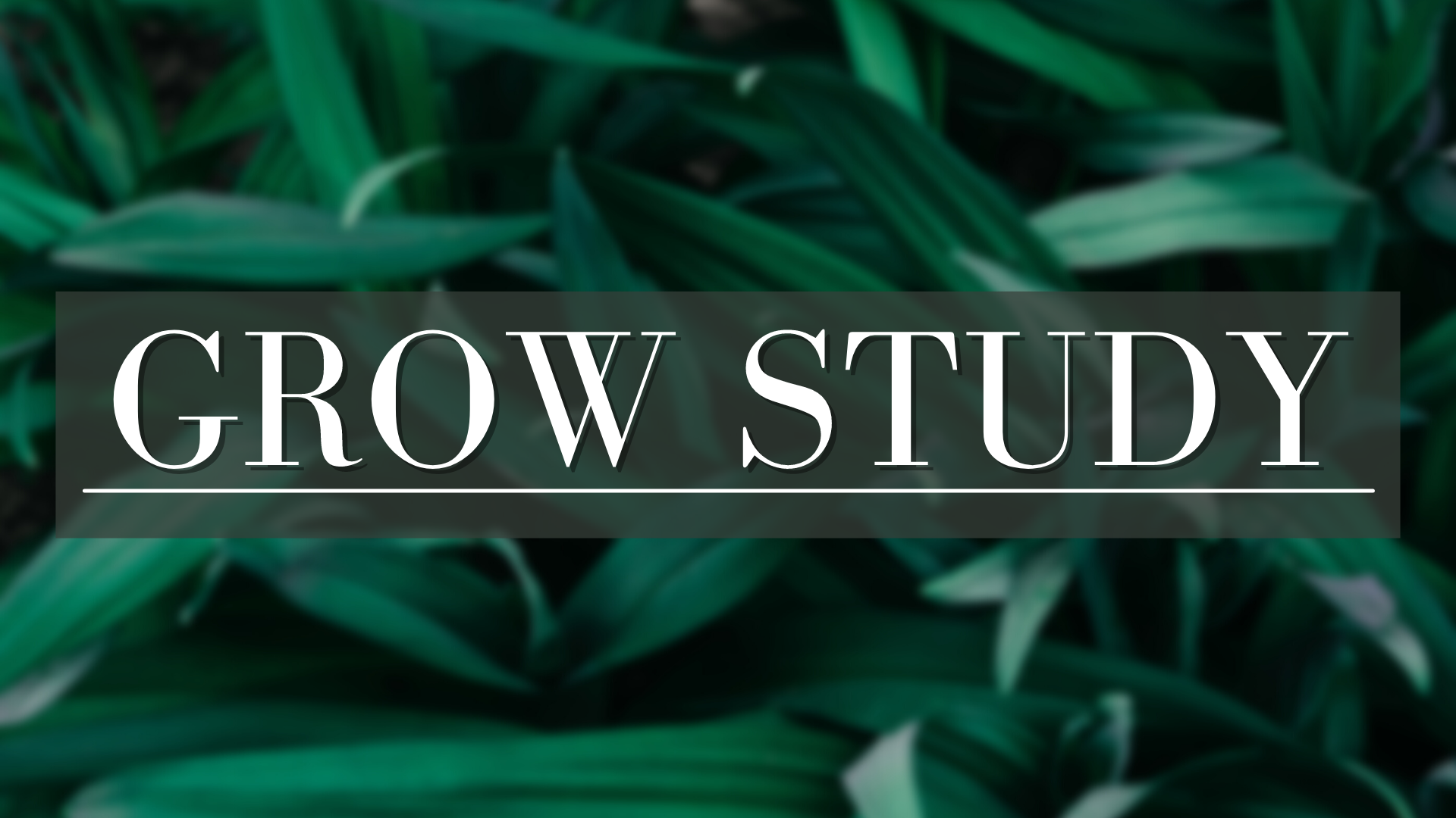 Grow Study - Oak Lawn United Methodist Church